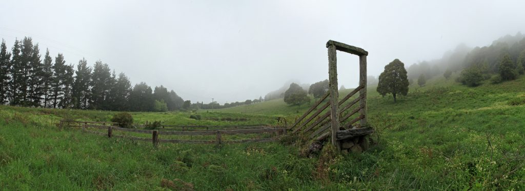 Sutton Forest - Destination Southern Highlands